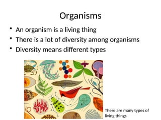 09823462534Diversity-of-life-part-1.pptx