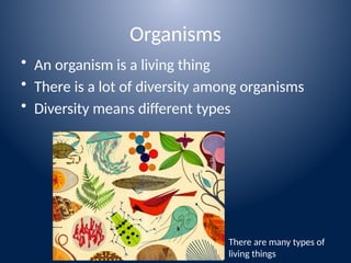 Diversity-of-life-part-1.pptxit's a slideshare to teach about biology ...