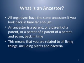 Diversity-of-life-part-1.pptxit's a slideshare to teach about biology ...