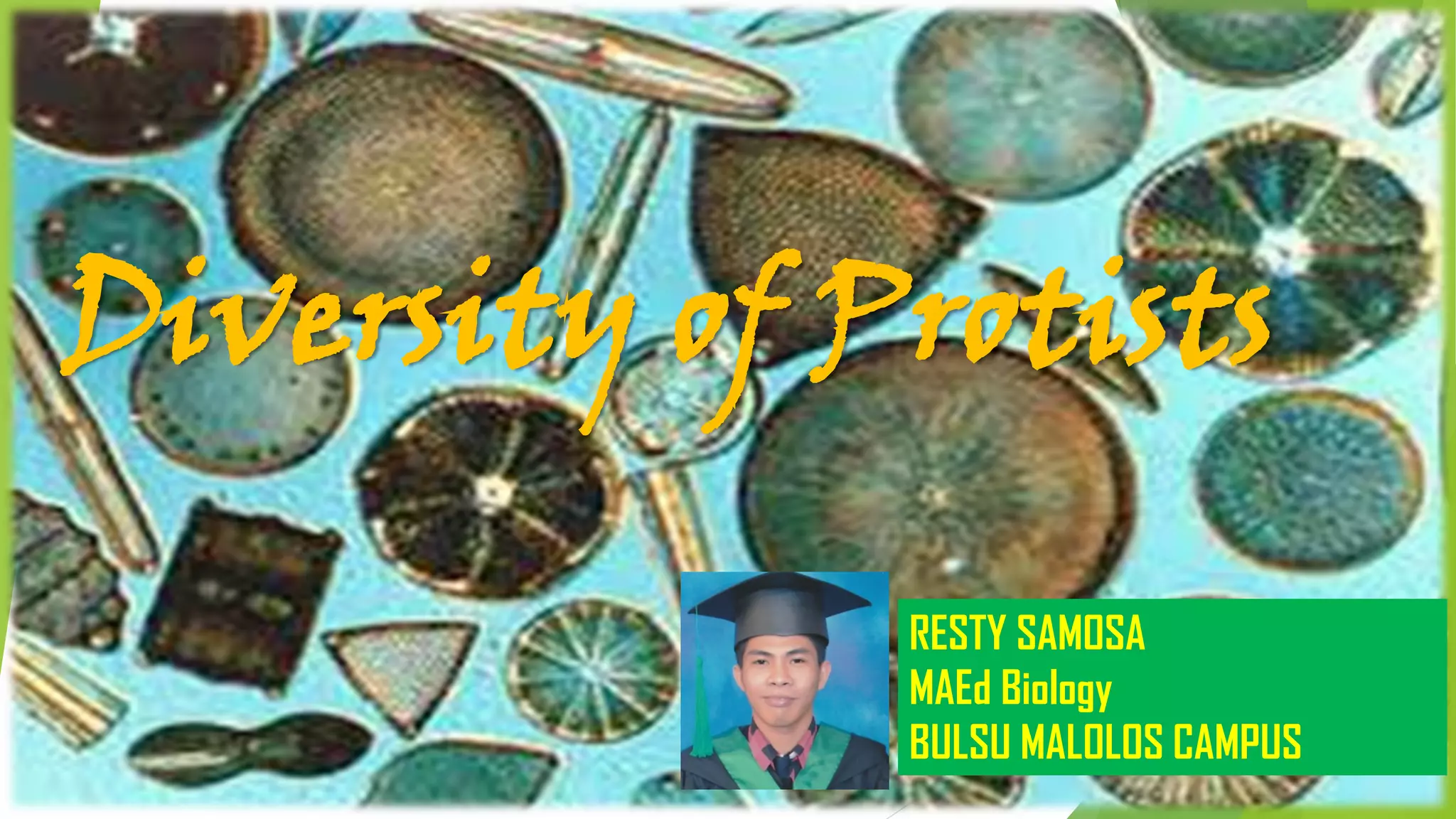 Diversity of protists by resty samosa ma ed biology | PDF