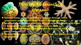 Diversity of protists by resty samosa ma ed biology | PPT