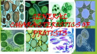 Diversity of protists by resty samosa ma ed biology | PDF