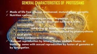 Diversity of protists by resty samosa ma ed biology | PPT