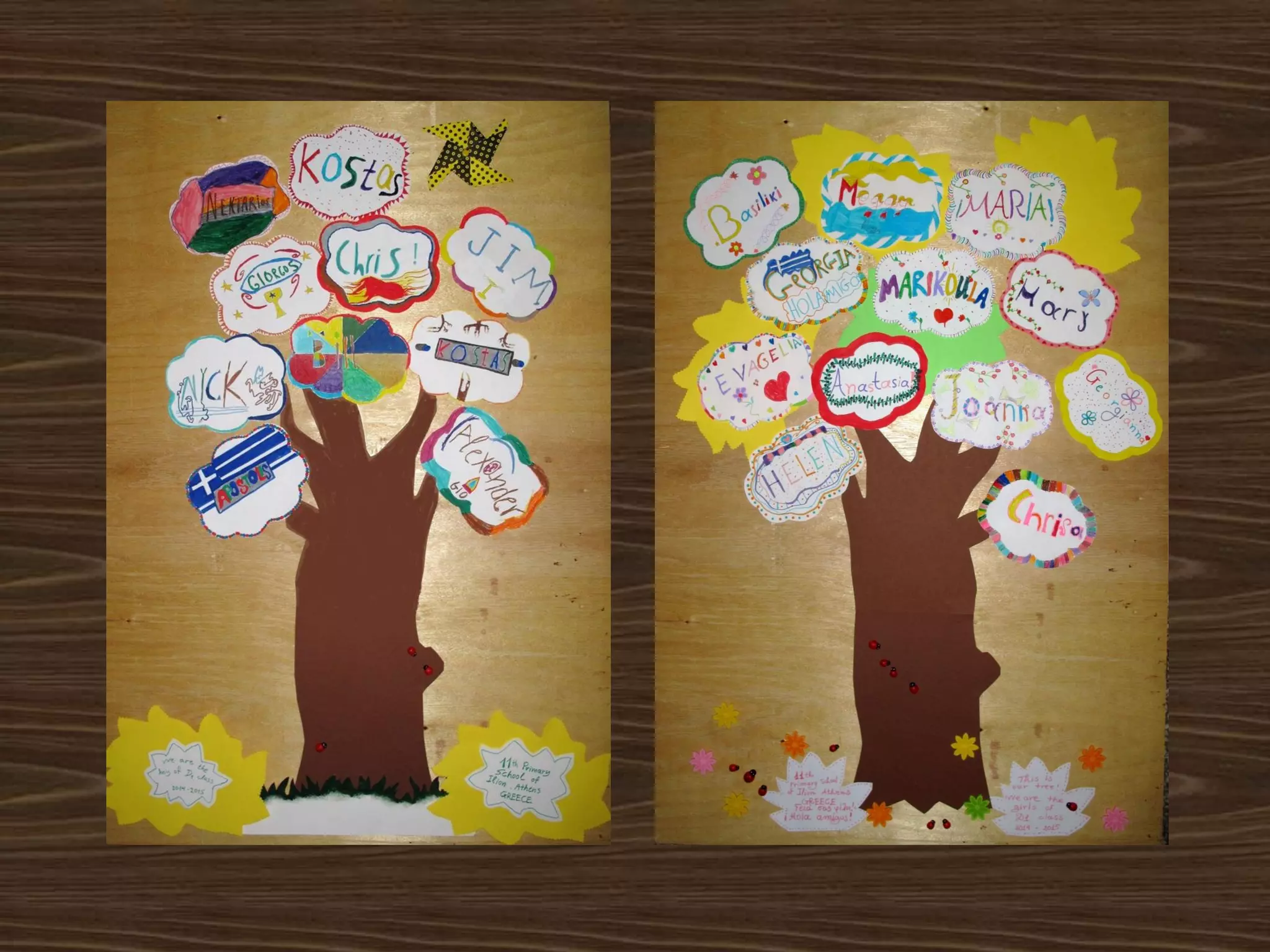 Diversity- e-Twinning project: The tree of life | PDF
