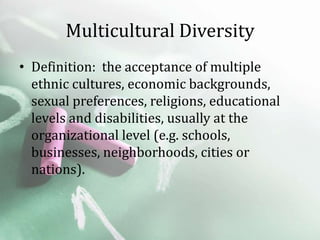 Diversity artifact 1 | PPTX