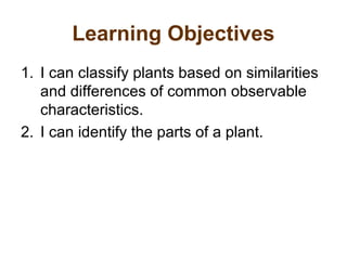 P3 Plants | PPT