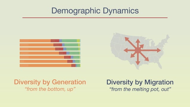 Diversity Explosion: How new racial demographics are remaking America | PDF