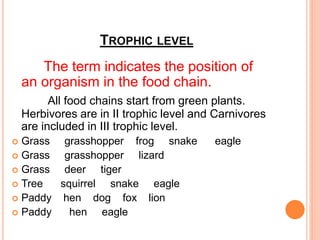 Diversity for sustenance 1 | PPTX