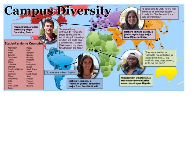 Diversity graphic | PDF