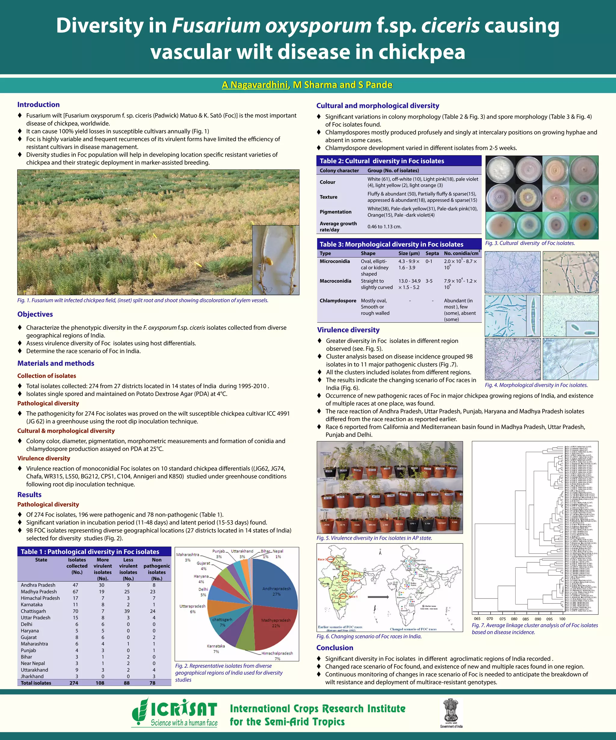 Diversity in Fusarium oxysporum f.sp. ciceris causing vascular wilt ...