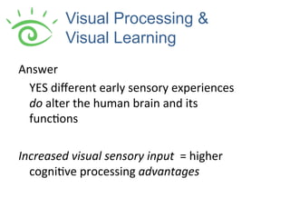 Diversity in Learning: Teaching Practices and Educational Policies that Impact Students' Visual ...