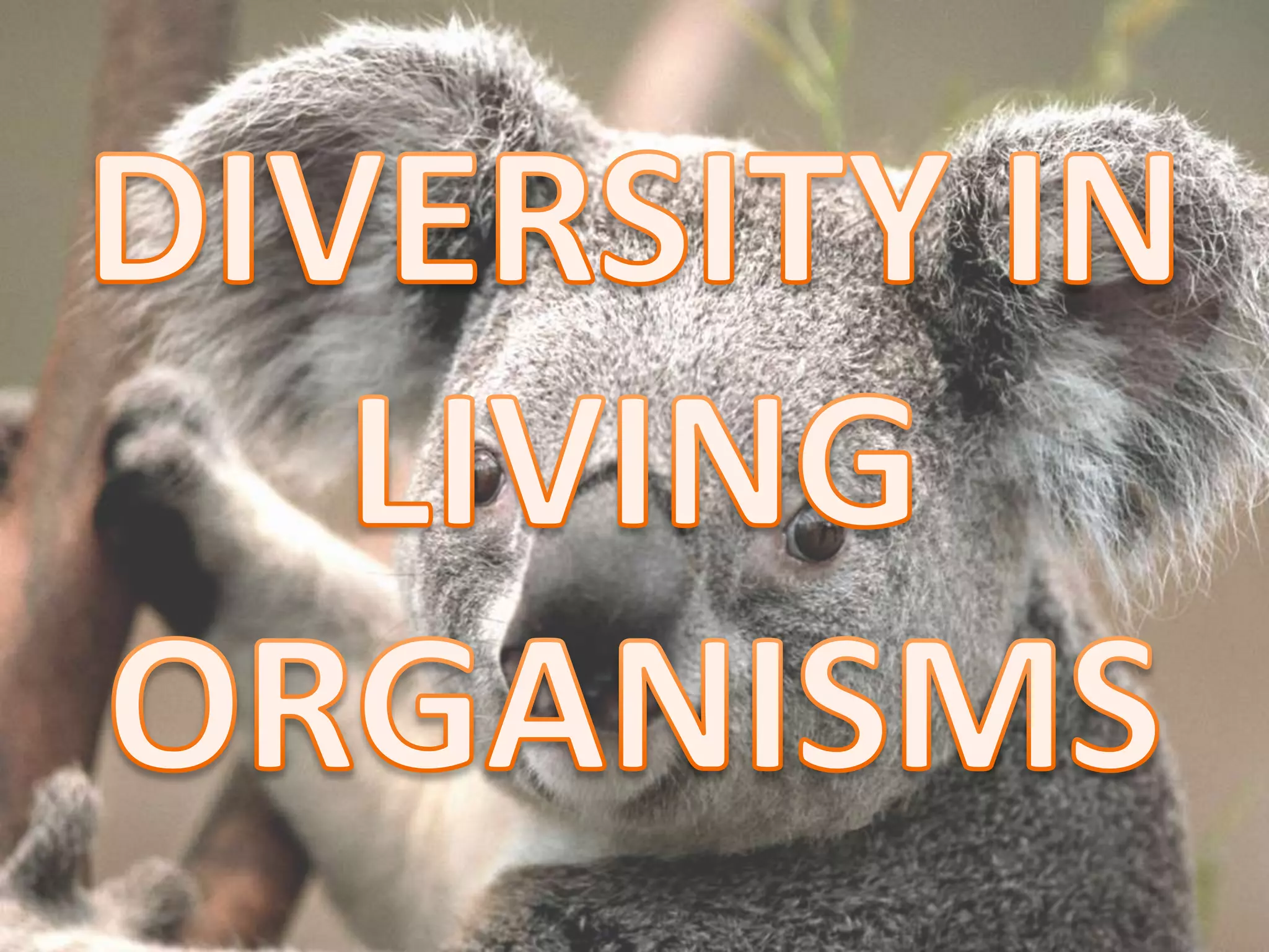Diversity in living organism | PPT