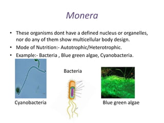 Diversity in living organisms part 1 | PPTX