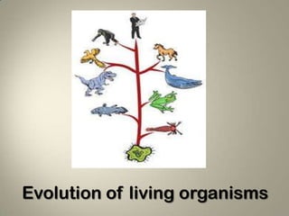 Diversity in living organisms | PPT