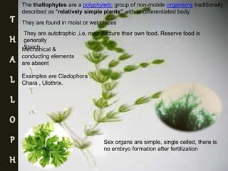 Diversity in living organisms | PPTX