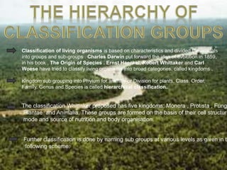 Diversity in living organisms | PPTX