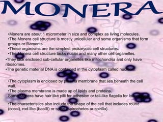 Diversity in living organisms | PPTX