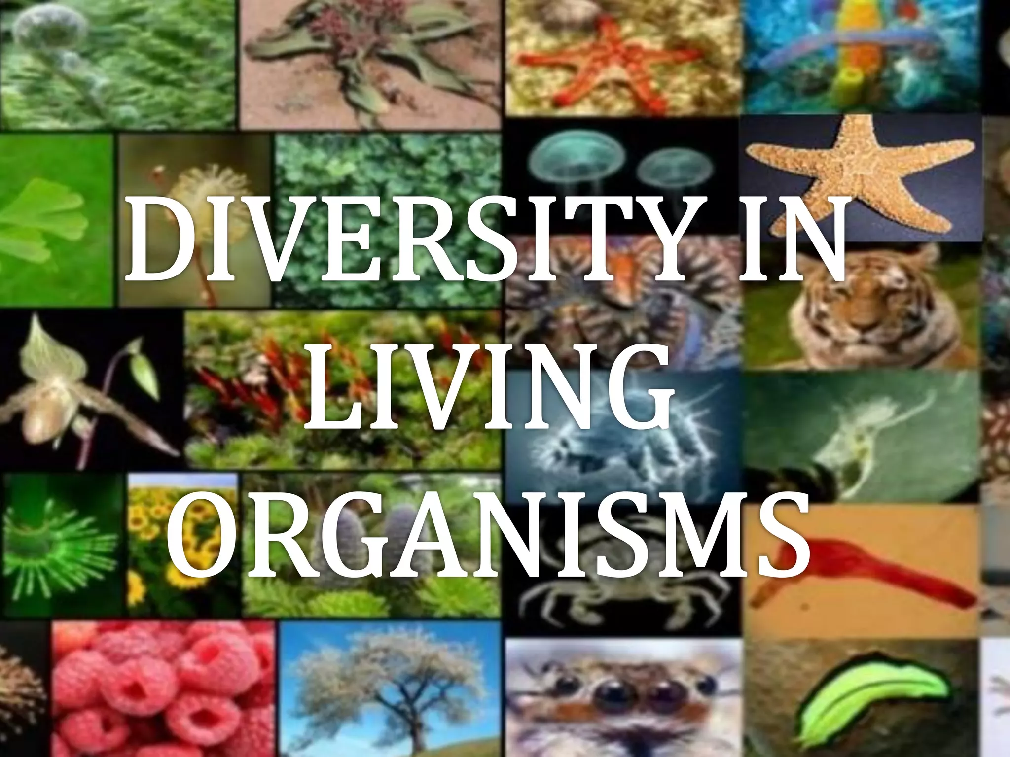 Diversity in living organisms | PDF