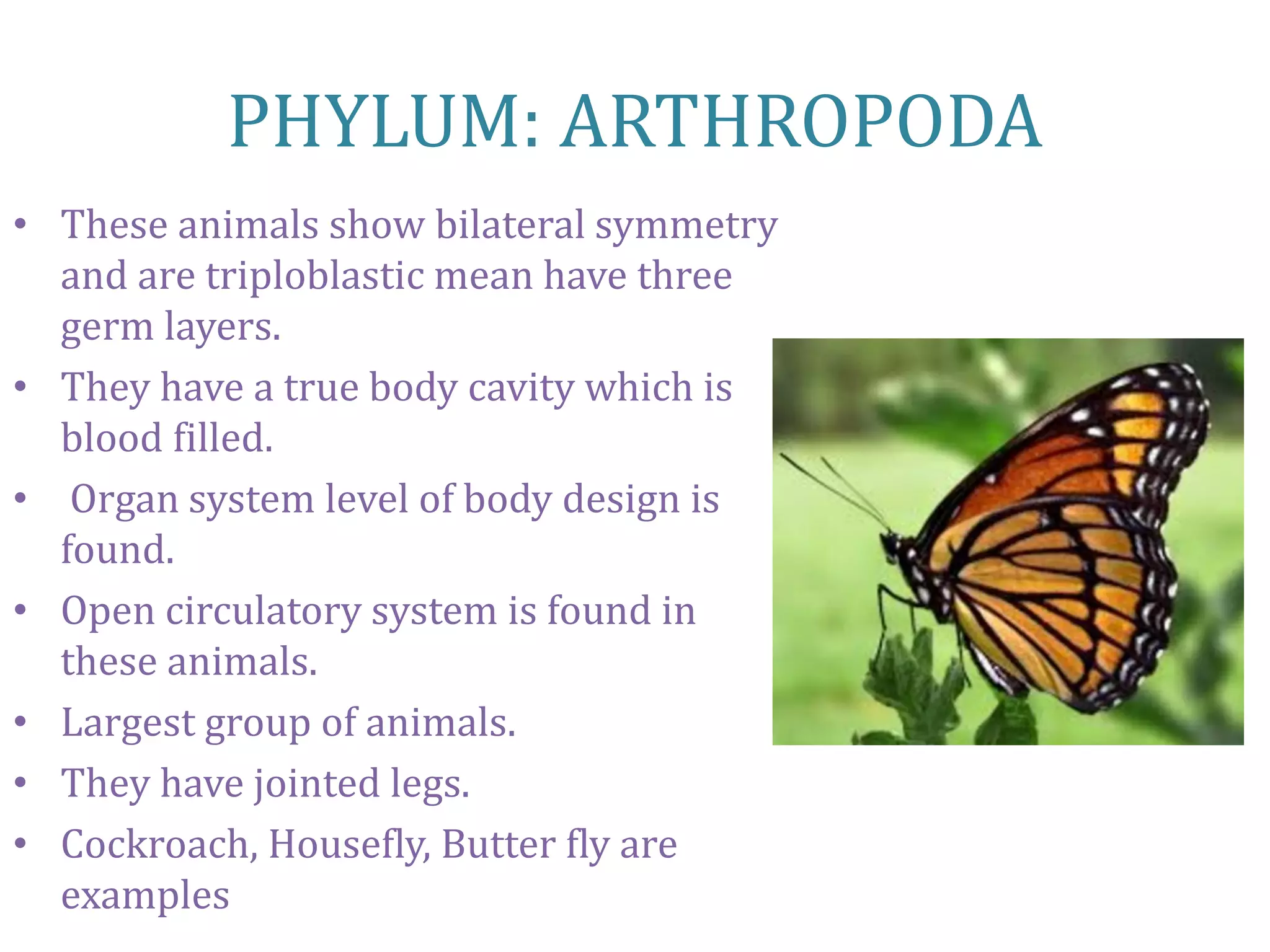 Diversity in living organisms | PDF