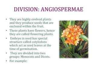 Diversity in living organisms | PDF