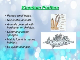 Diversity in living organisms | PPT