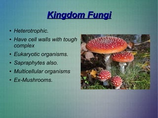 Diversity in living organisms | ODP