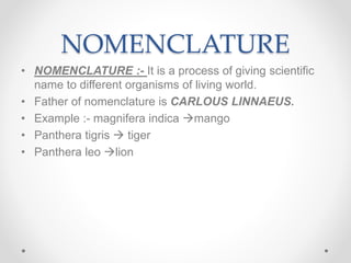 Diversity in living organisms | PPT