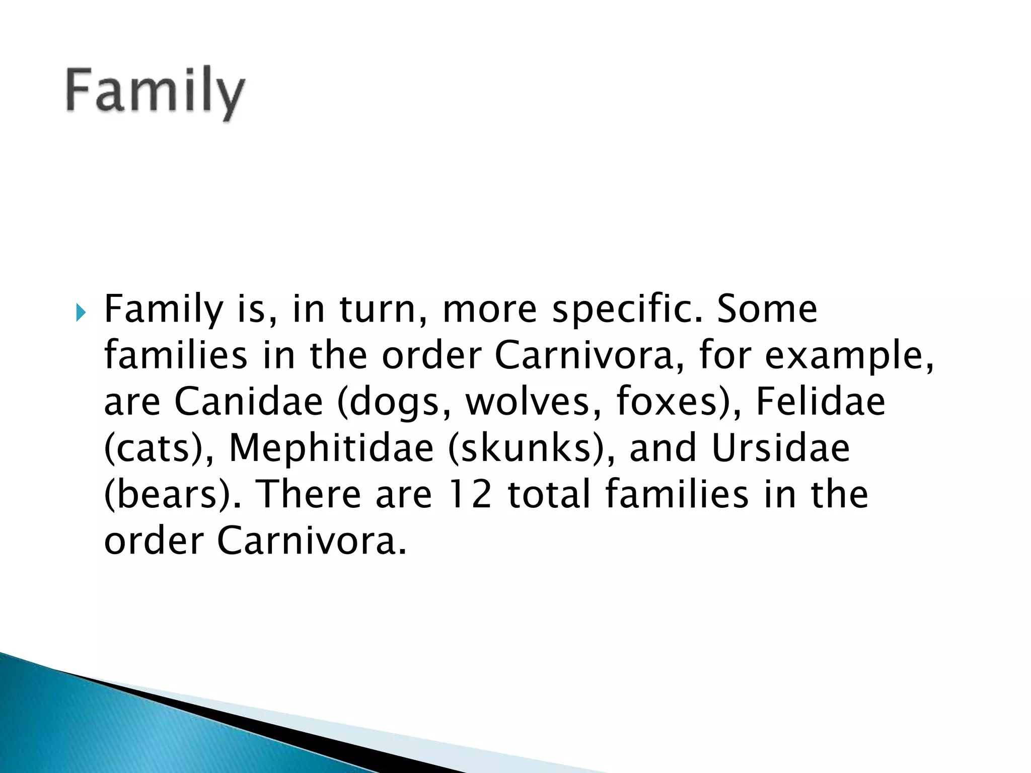Diversity in living organisms | PPTX