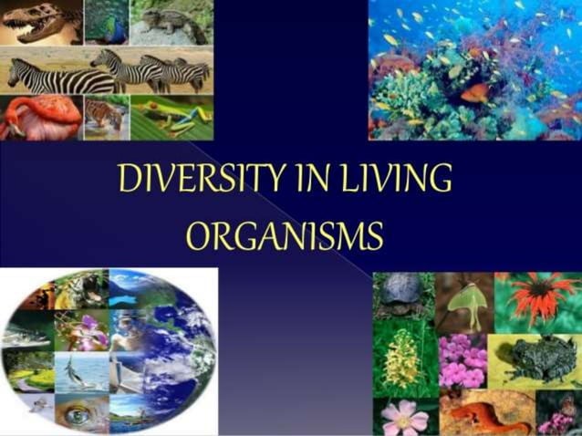 Diversity in living organisms | PPT