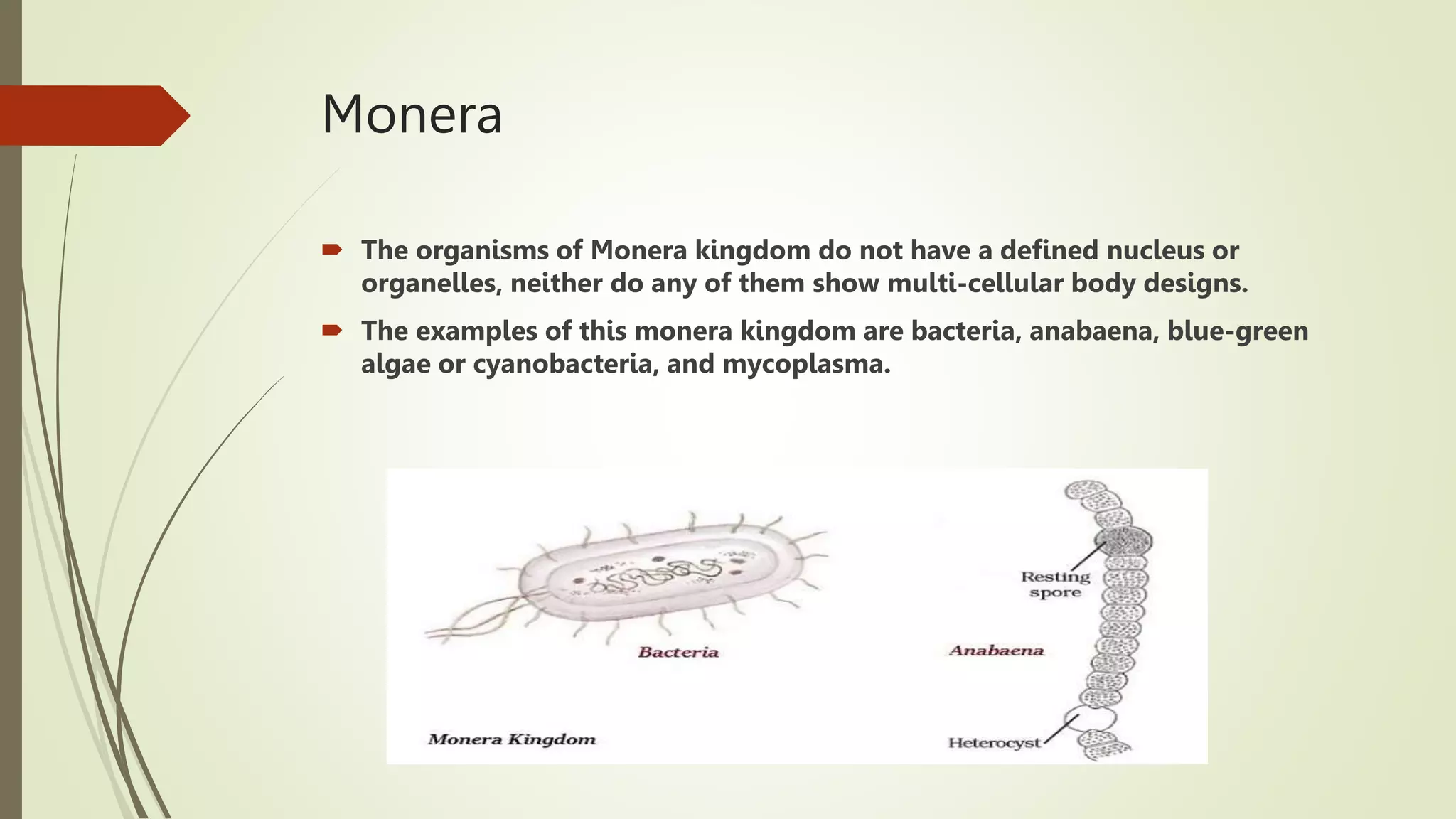 DIVERSITY IN LIVING ORGANISMS.pptx