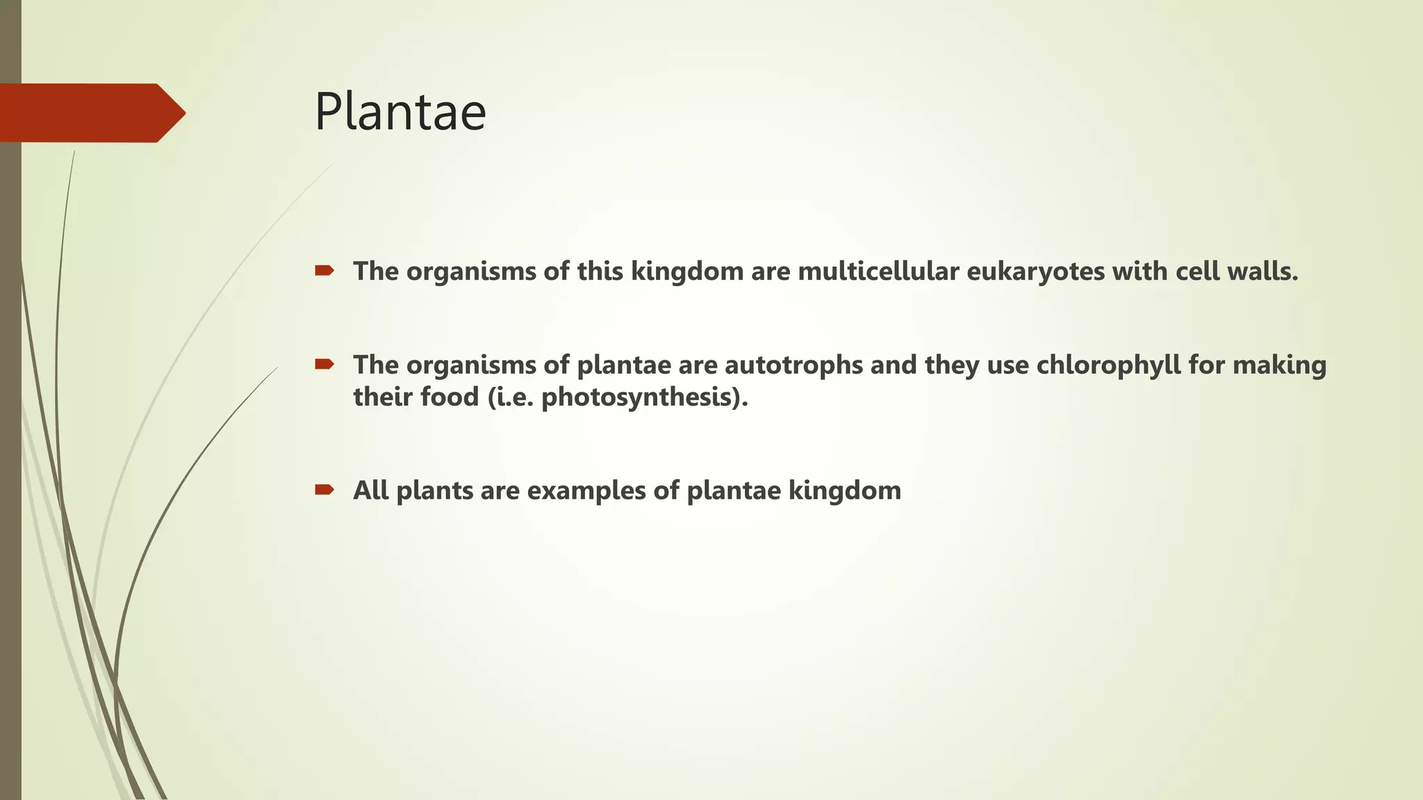 DIVERSITY IN LIVING ORGANISMS.pptx