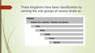 DIVERSITY IN LIVING ORGANISMS.pptx