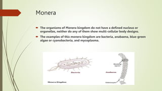 DIVERSITY IN LIVING ORGANISMS.pptx