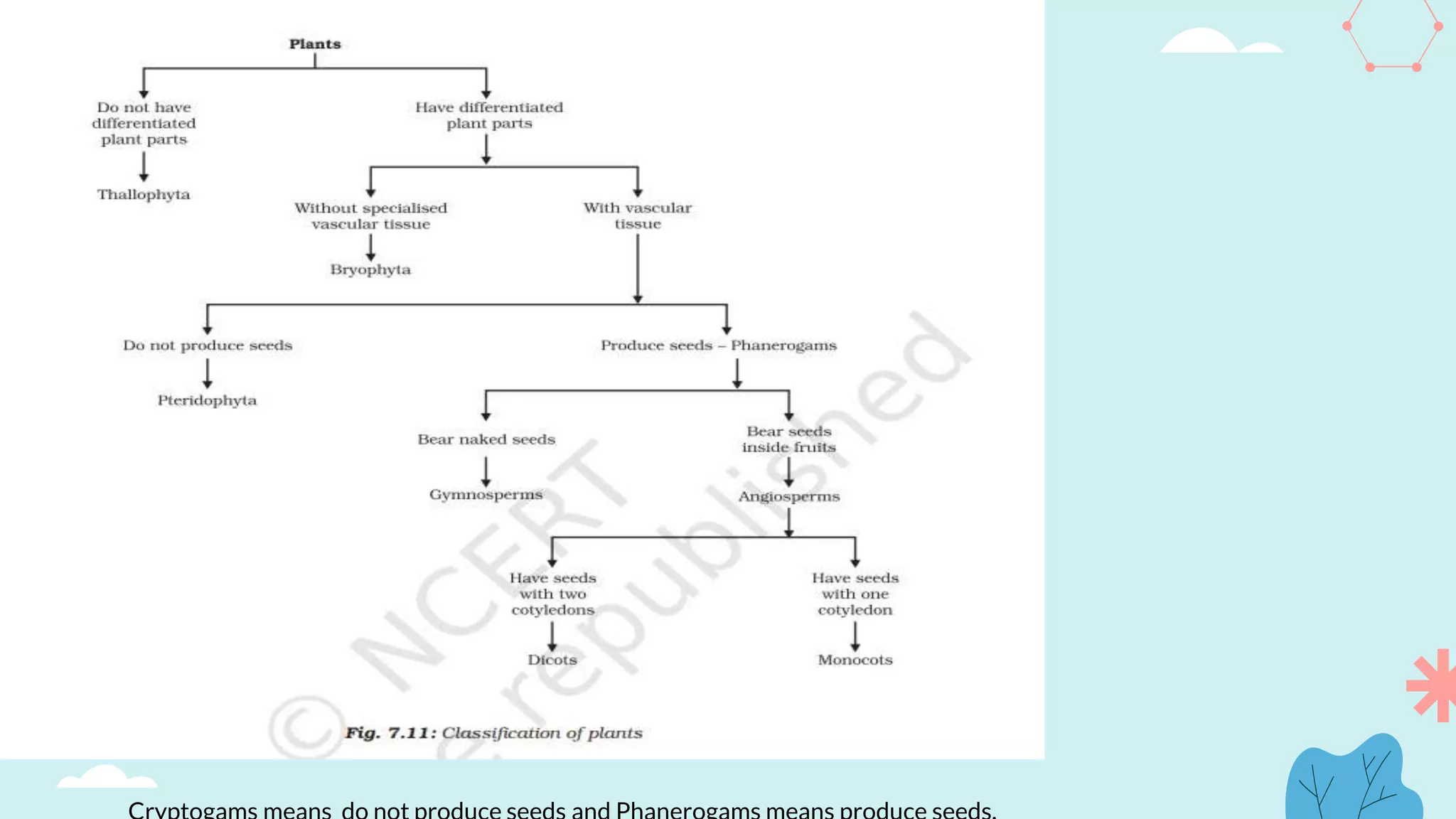 Diversity IN Living Organisms Class 9 Biology (1).pptx