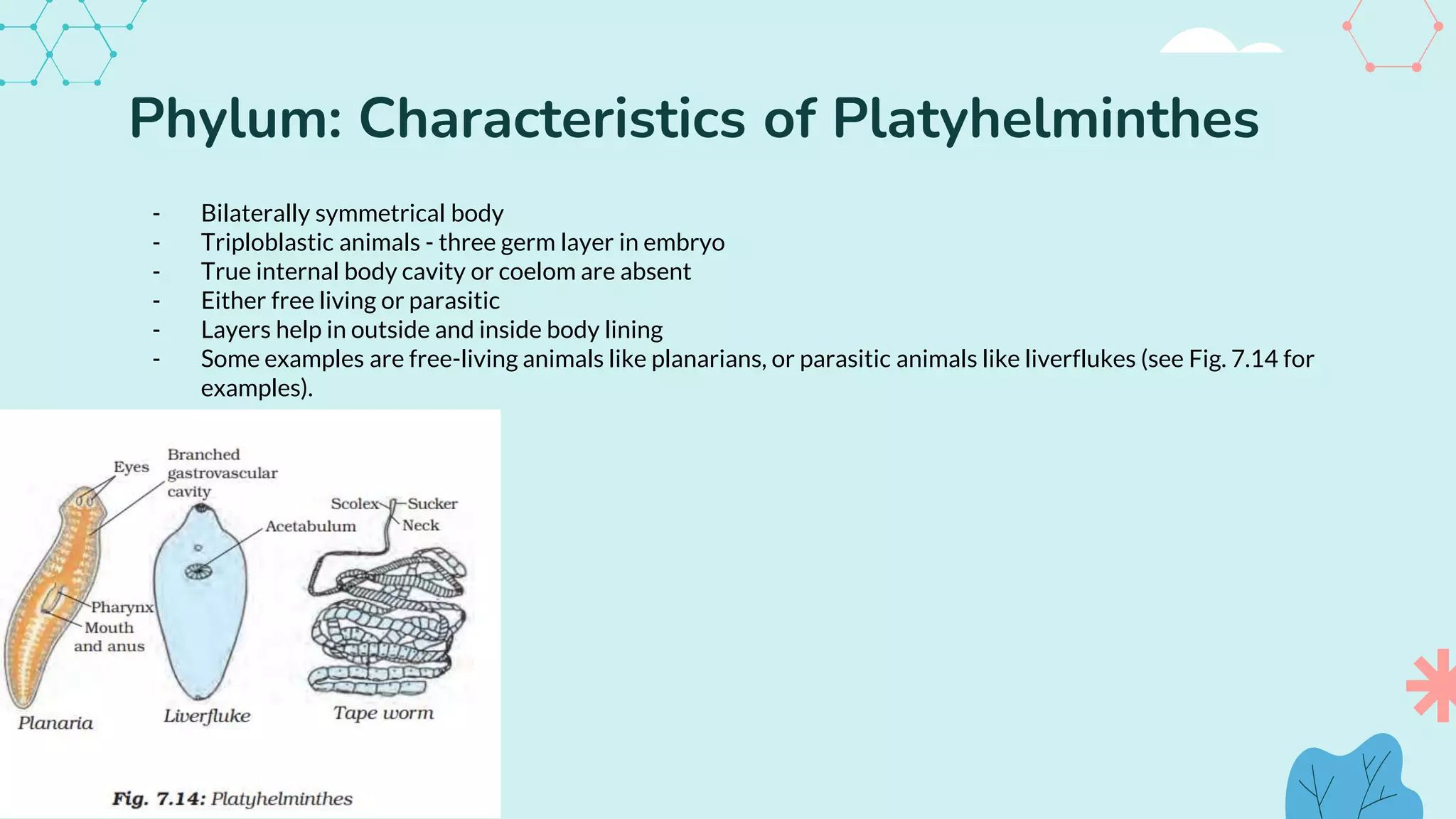 Diversity IN Living Organisms Class 9 Biology (1).pptx