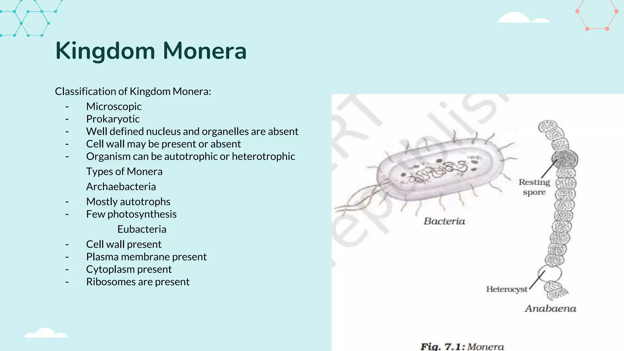 Diversity IN Living Organisms Class 9 Biology (1).pptx