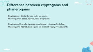 Diversity IN Living Organisms Class 9 Biology (1).pptx