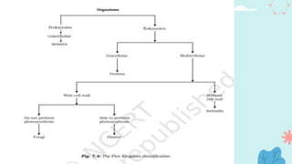 Diversity IN Living Organisms Class 9 Biology (1).pptx