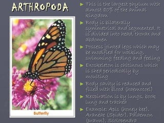 Diversity in living organisms (ii term ) | PPT