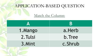 Plants and their classification | PPTX