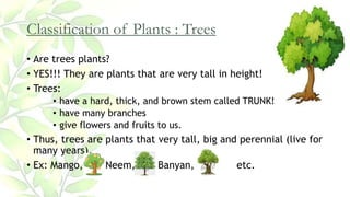 Plants and their classification | PPTX