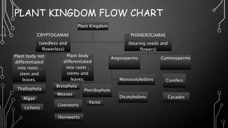 Diversity in living world.pptx | Biological Sciences | Science