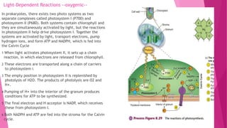 DIVERSITY IN MICROBIAL ACQUISITION OF ENERGY.pptx