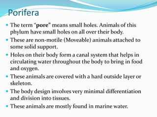 Diversity in organisms | PPTX | Gardening | Home & Garden