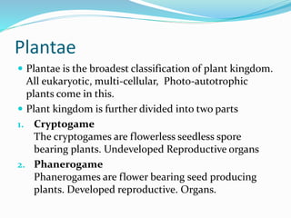 Diversity in organisms | PPTX | Gardening | Home & Garden