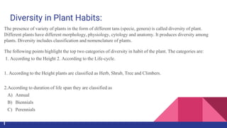 Diversity in Plant Habits.pptx
