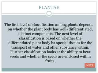 Diversity in plants | PPTX