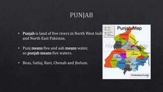 Diversity in punjab | PPTX