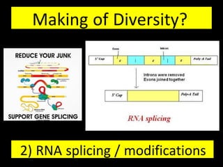 Diversity in structure_and_function_enzymes | PPT