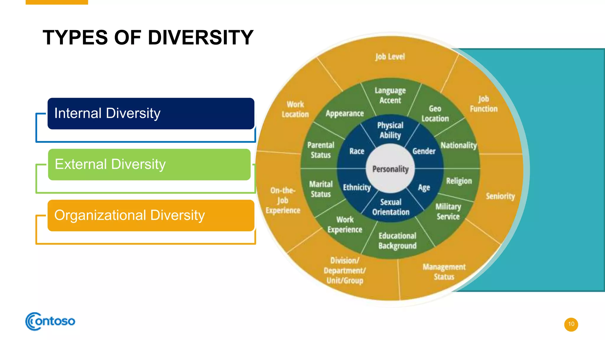 Diversity Management .pptx | Business | Business and Finance